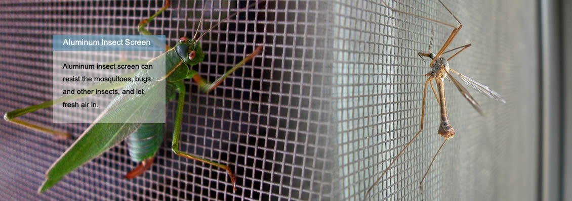 Insect Screen For Drainage