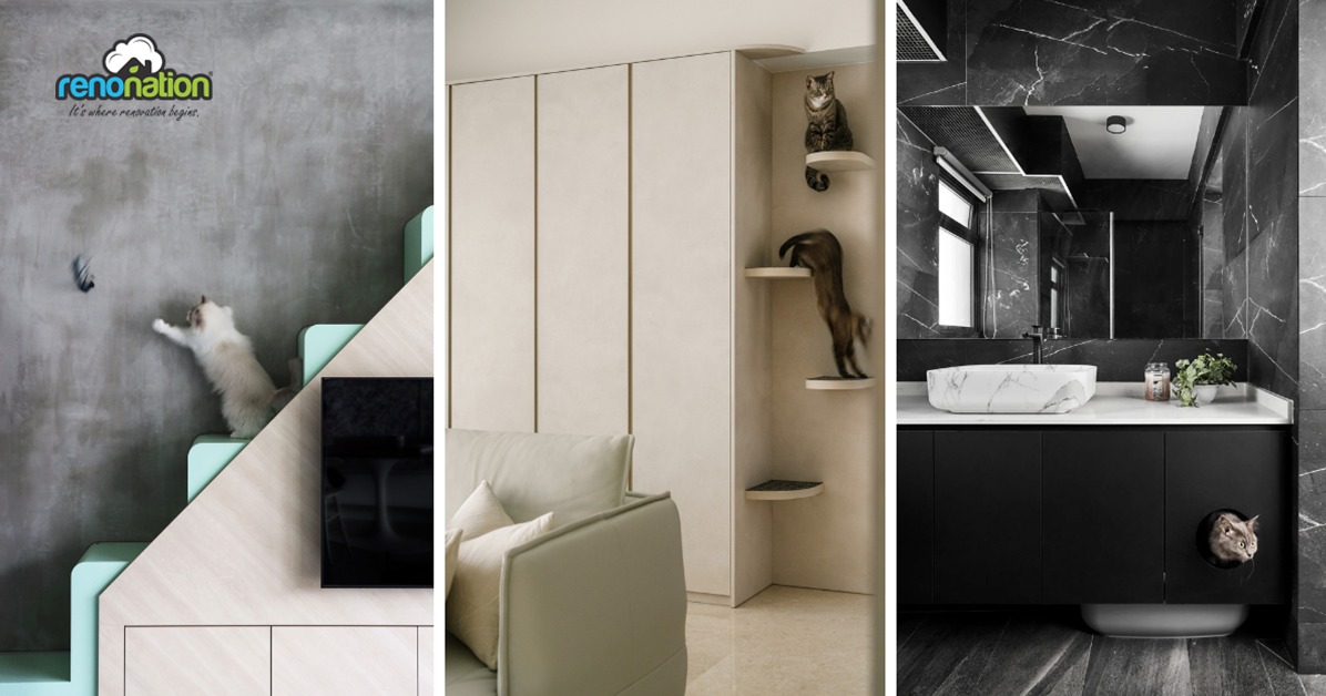 Is Your HDB Ready for a Cat? | Renovation Singapore